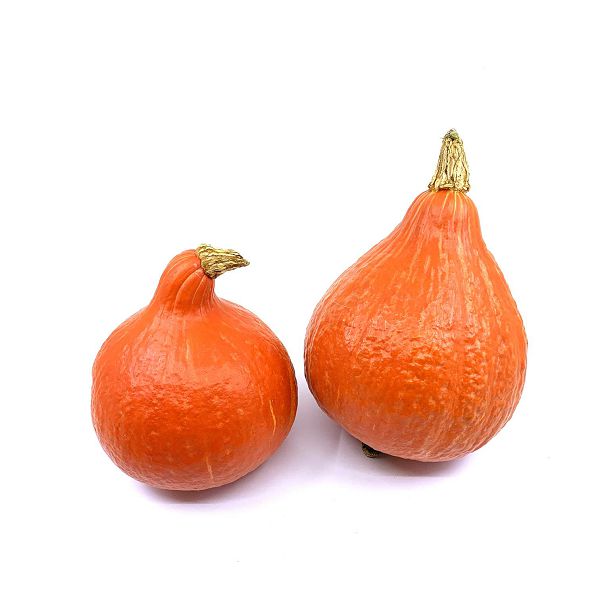 Hokaido tikva – Ter